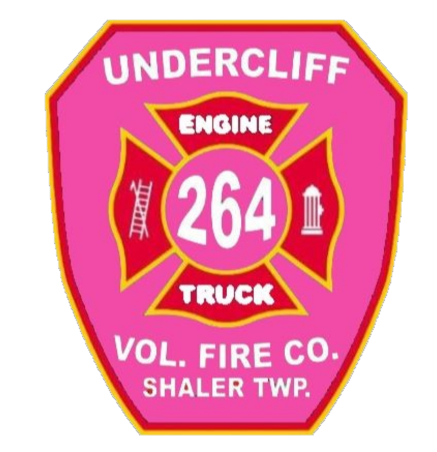 UVFC Blog – Undercliff VFC